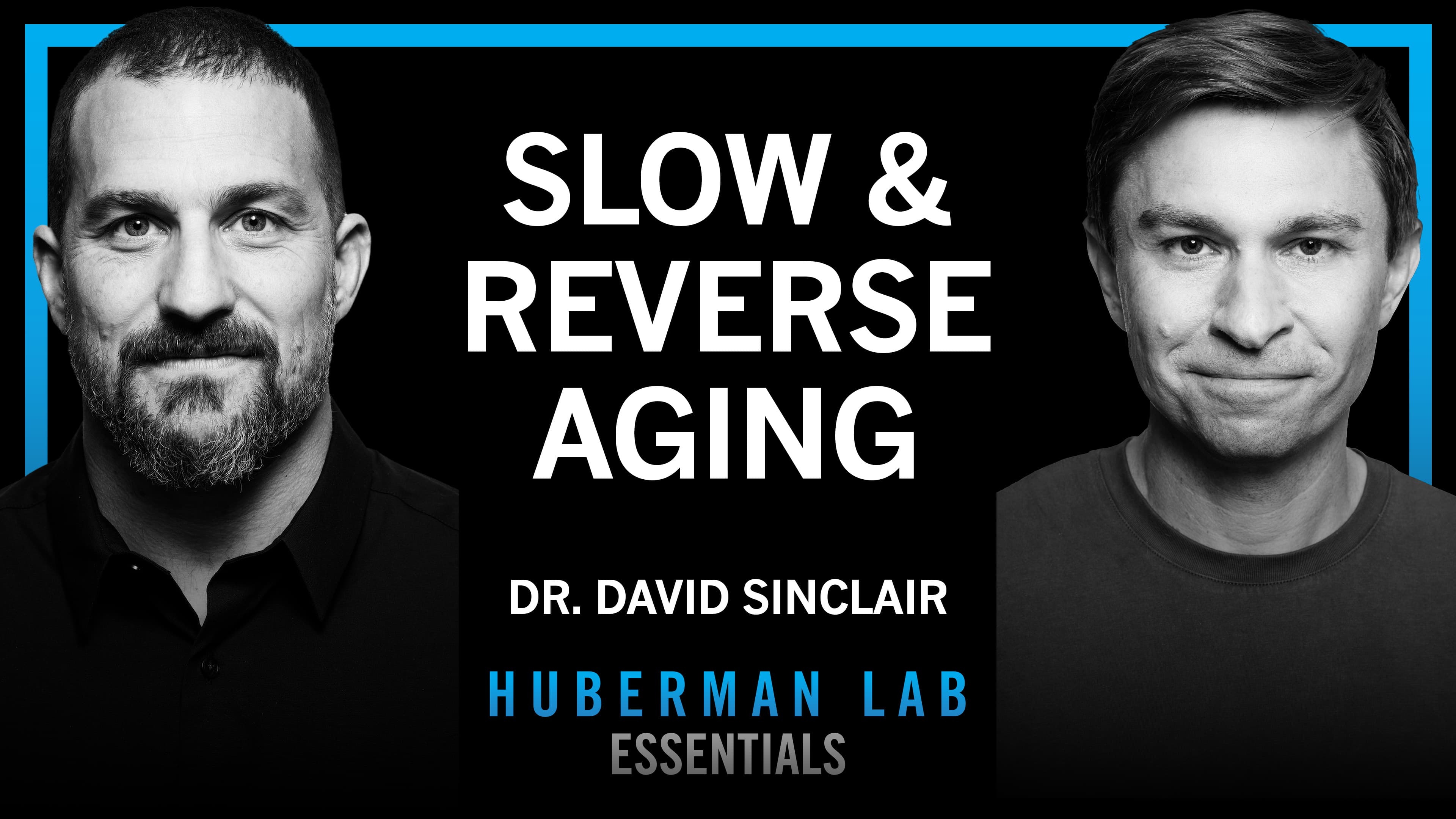 Essentials: The Biology of Slowing & Reversing Aging | Dr. David Sinclair - Huberman Lab
